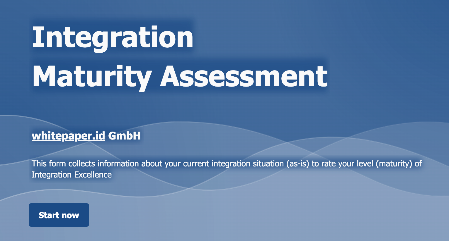 Integration Excellence Maturity Assessment – integration://excellence ... Integration Excellence Maturity Assessment – integration://excellence ...